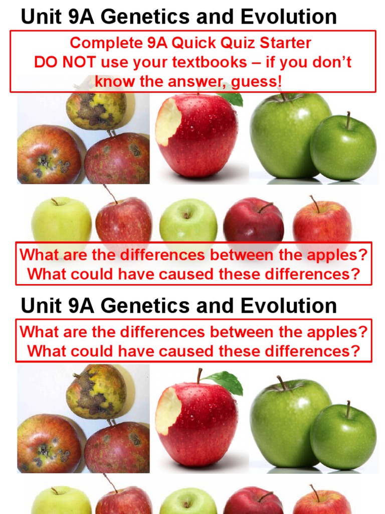 9aa Environmental Variation VLE V3 | PDF | Species | Genetics