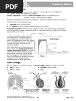 Year 8 Breathing and Respiration | PDF | Respiratory System | Breathing