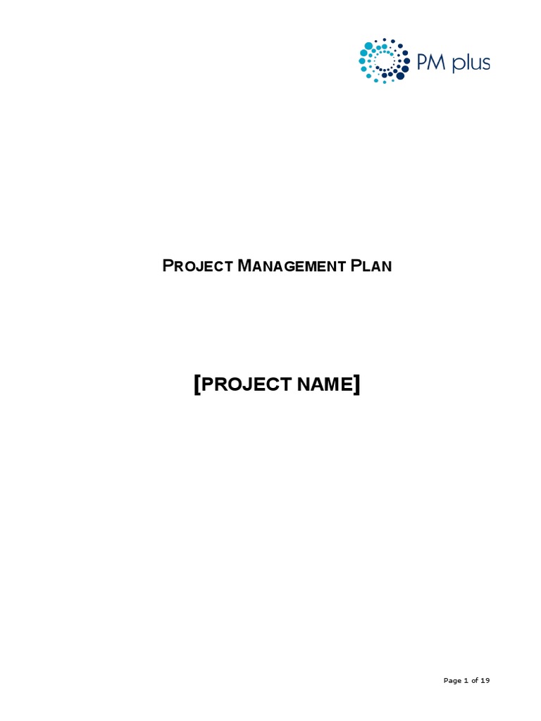 Project Management Plan Example | Pdf | Project Management | Expert