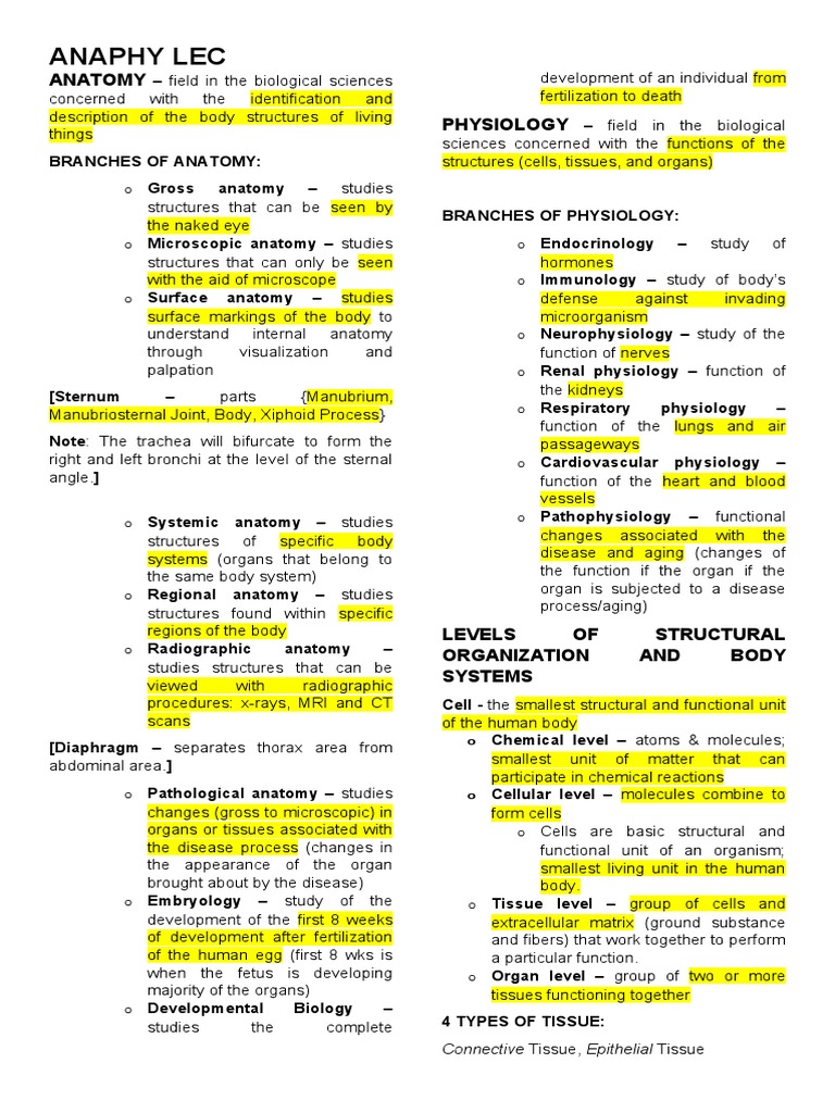 Intro Anaphy Lec Reviewer - Camasin - Long | PDF | Anatomical Terms Of ...