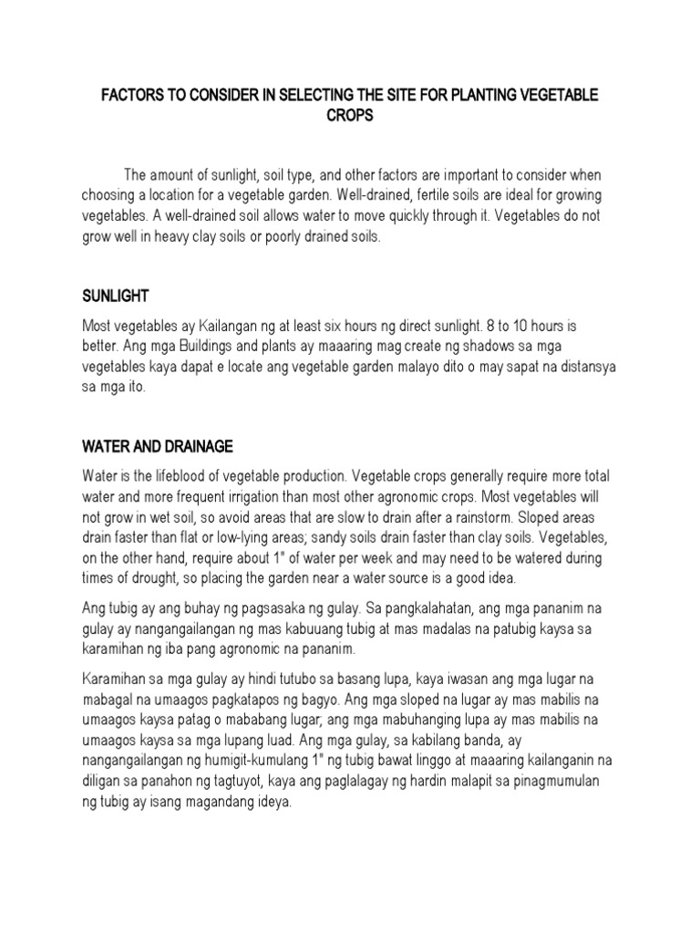 Report Ni Aya | PDF | Soil | Drainage