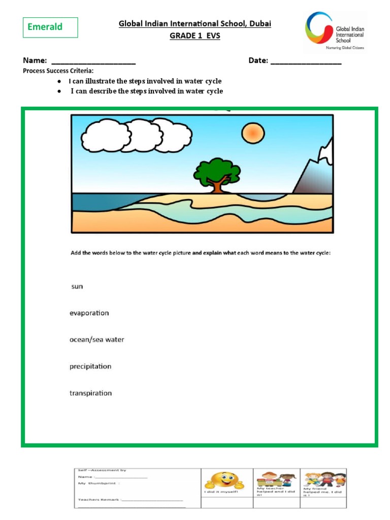 EVS Water Cycle HA Worksheet | PDF