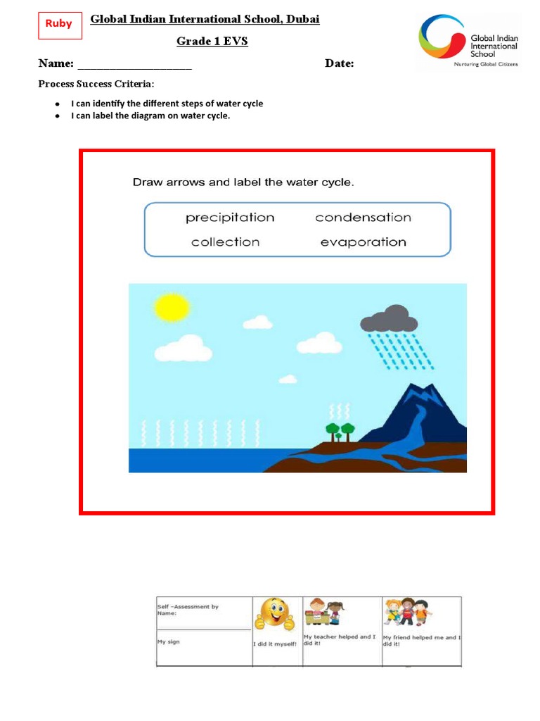 EVS Water Cycle LA Worksheet | PDF