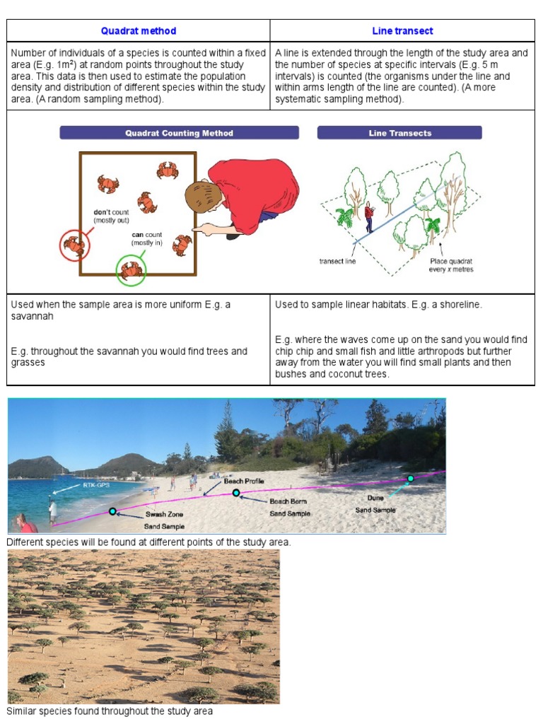 CAPE Environmental Science - Quadrat Vs Line Transect (2017 #2) | PDF