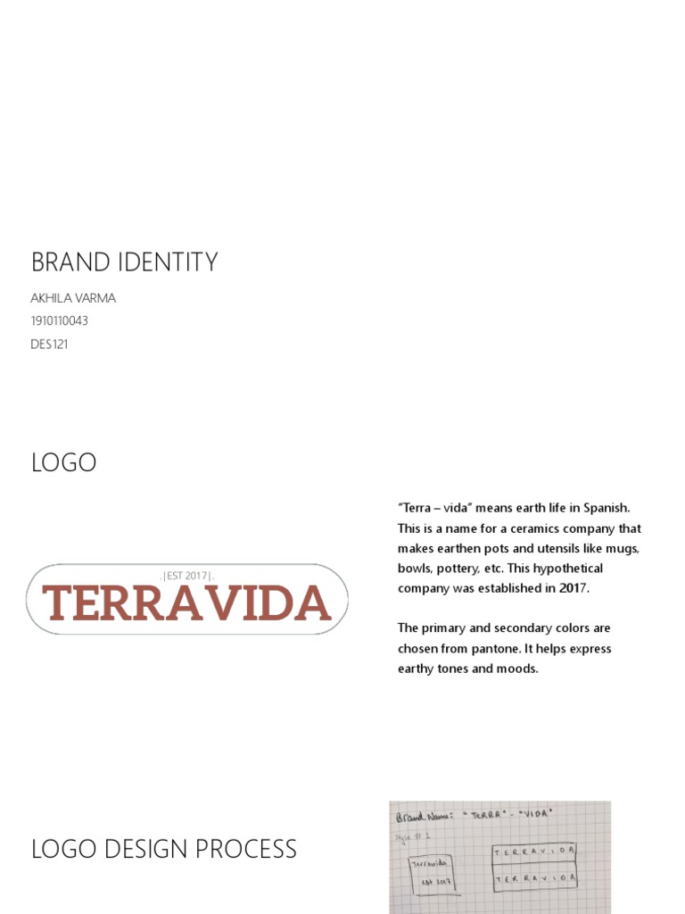 Terra Vida Ceramics Brand Identity | PDF