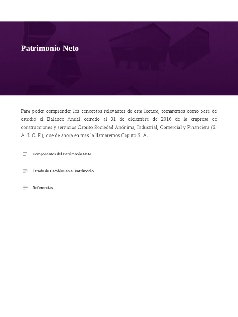 Patrimonio Neto Pdf Valor Neto Contabilidad