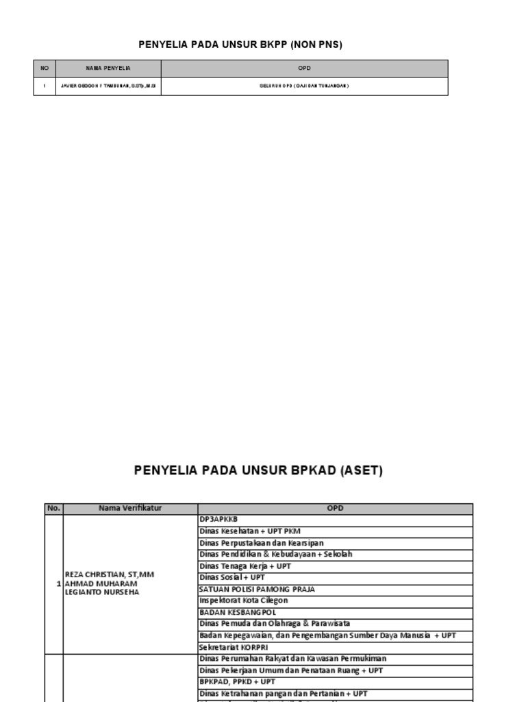 Pembagian Opd Tim Verifikasi Rkap - 2022 Sipd (Lampiran 1 Pedum) | PDF