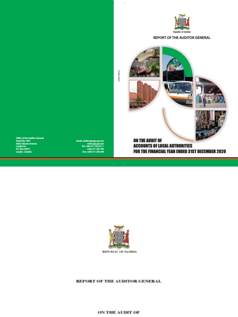 Audit Report on Local Authorities 2020 | PDF | Audit | Financial Audit