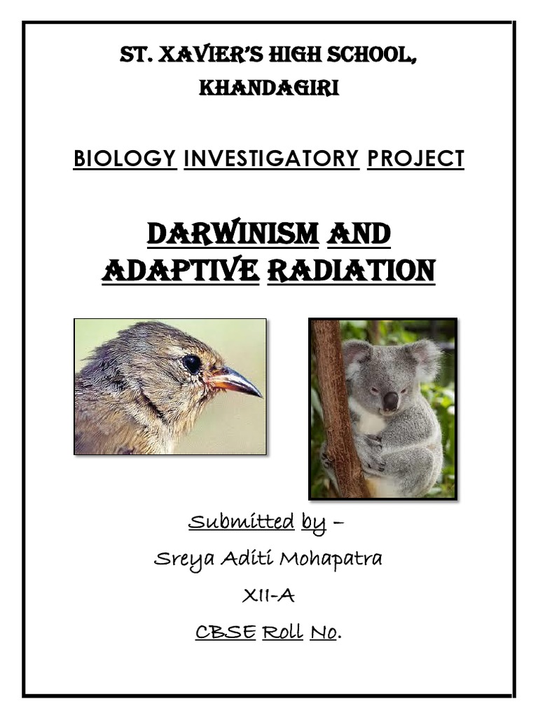 Biology Project | Download Free PDF | Evolution | Natural Selection