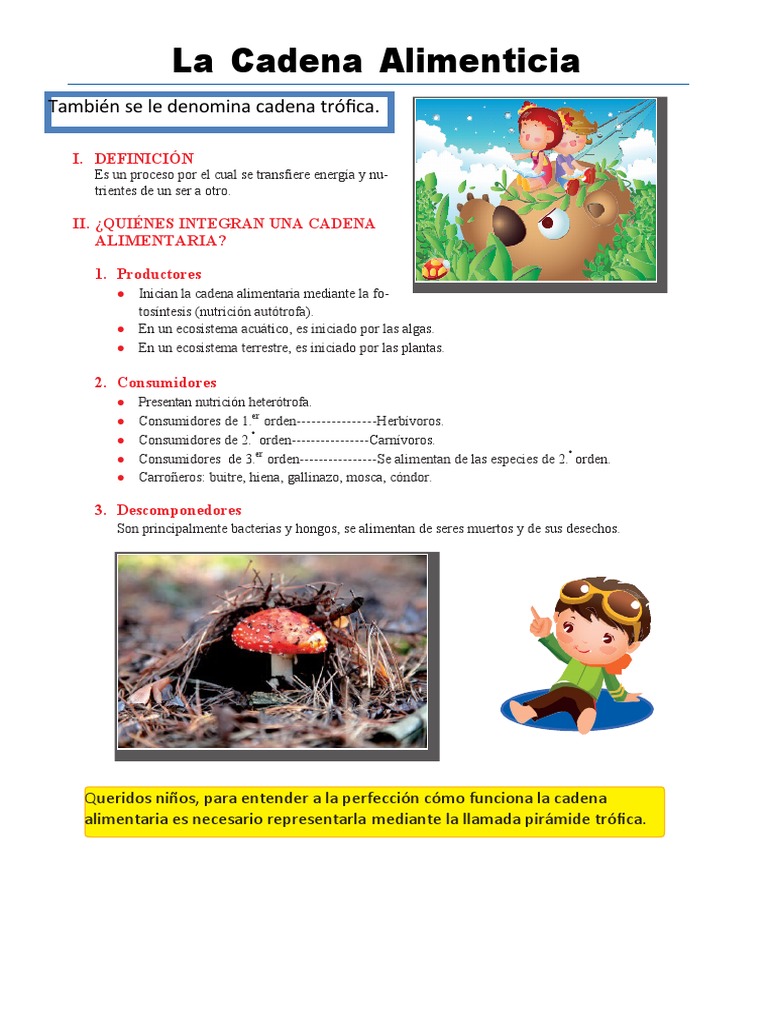 La Cadena Alimenticia para Cuarto de Primaria | PDF