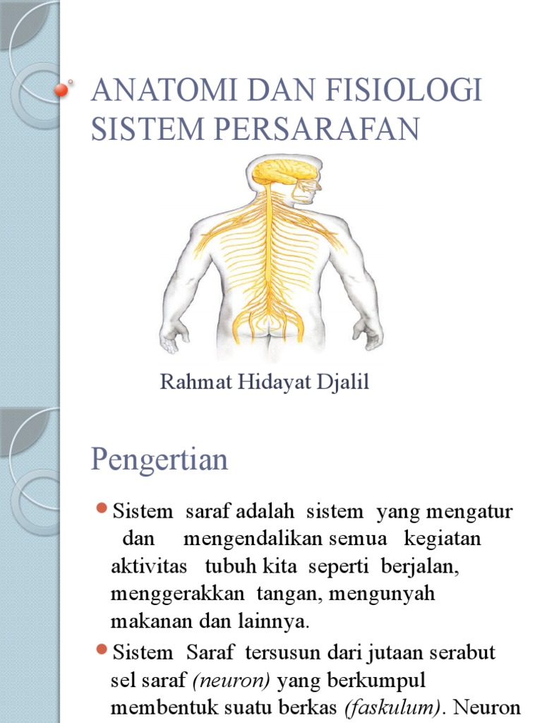 ANATOMI DAN FISIOLOGI SISTEM PERSARAFAN | PDF