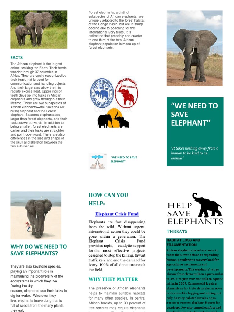Leaflet For Science | PDF | Elephant | Environmental Conservation