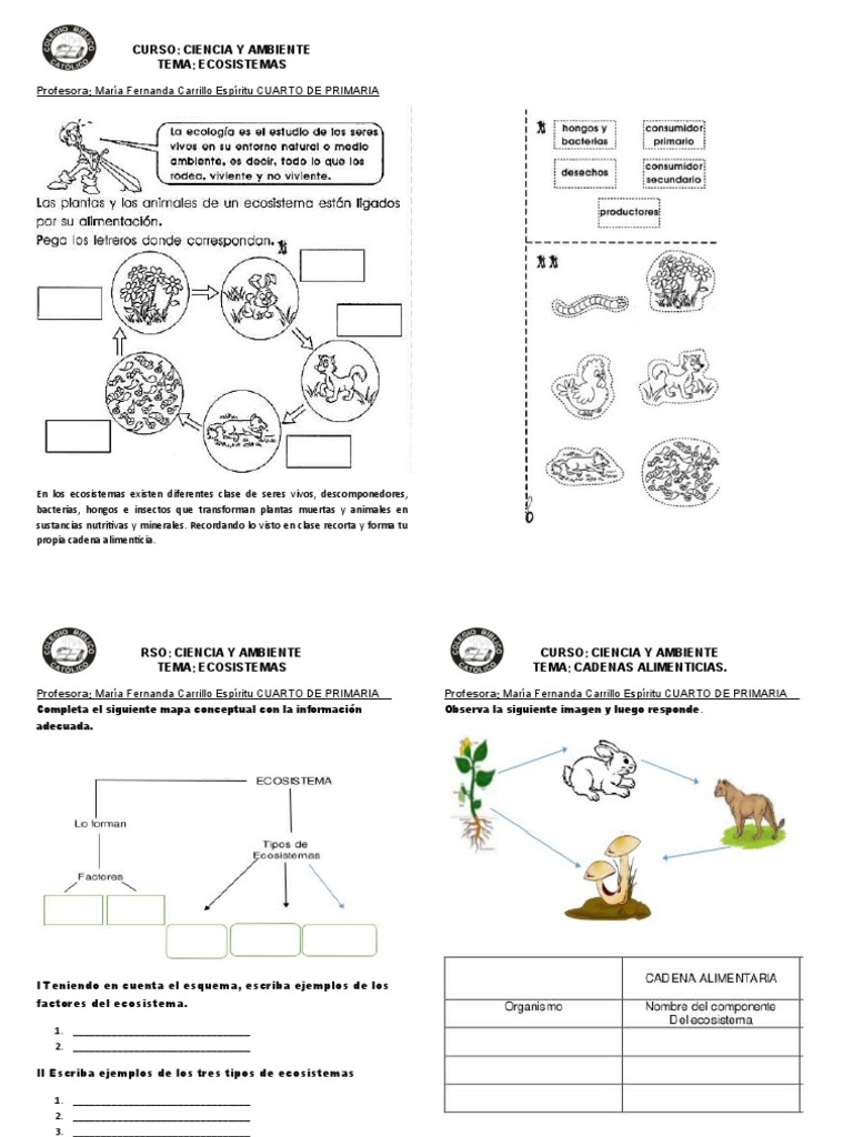 Cadenas alimenticias y descomponedores en los ecosistemas | PDF ...