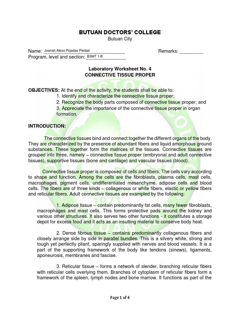 Laboratory Worksheet 4 | PDF | Connective Tissue | Tissue (Biology)