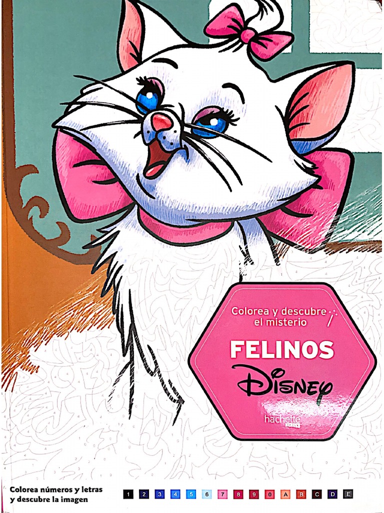 Libro Colorear Disney | PDF