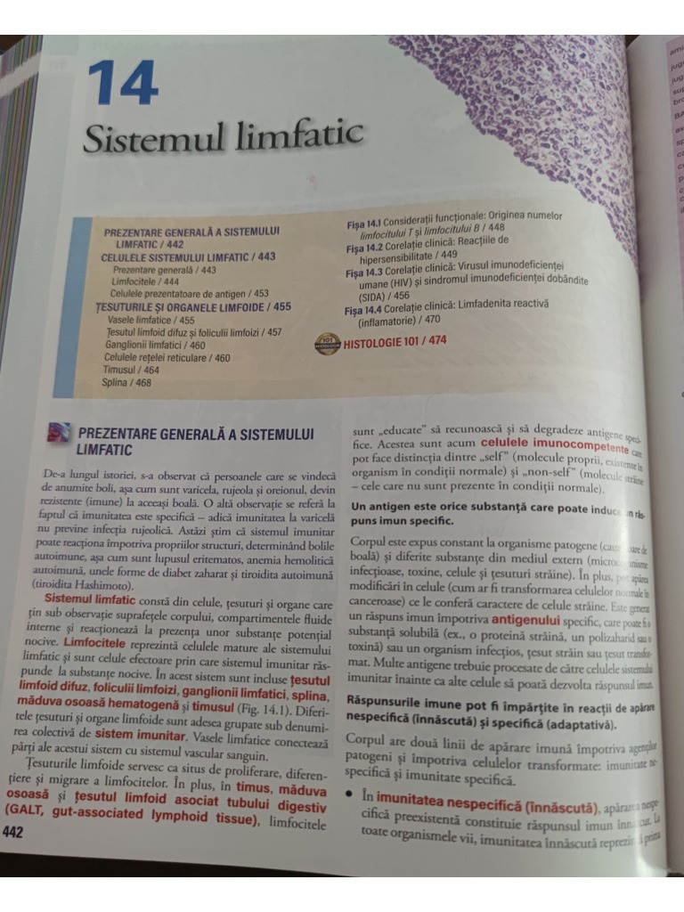 Ross HISTOLOGIE-Sistemul Limfatic | PDF