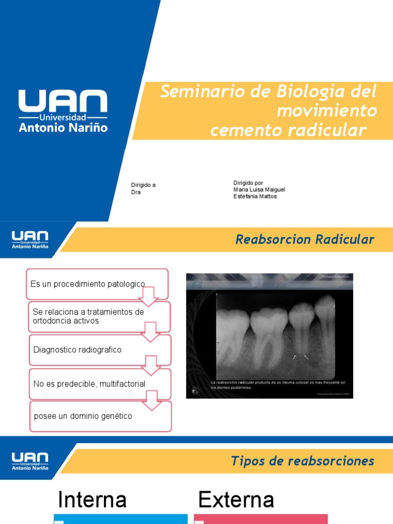 Cemento Radicular | PDF | Hueso | Medicina CLINICA