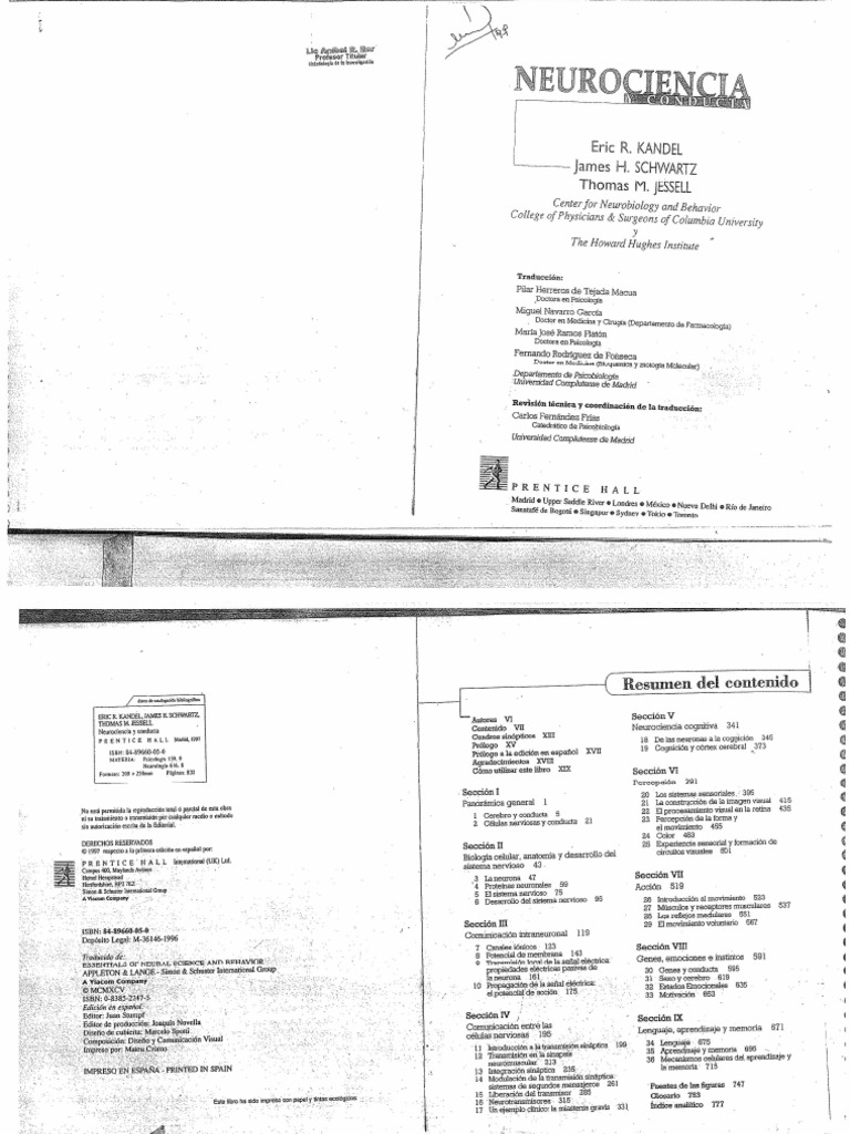 Kandel E. R. Et Al. 2003 - Neurociencia y Conducta. Cap. 34: Lenguaje | PDF
