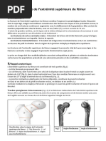 Radio Anatomie de La Hanche | PDF