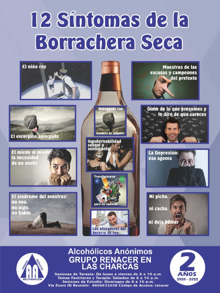 Folleto 12 Sintomas Borrachera Seca | PDF