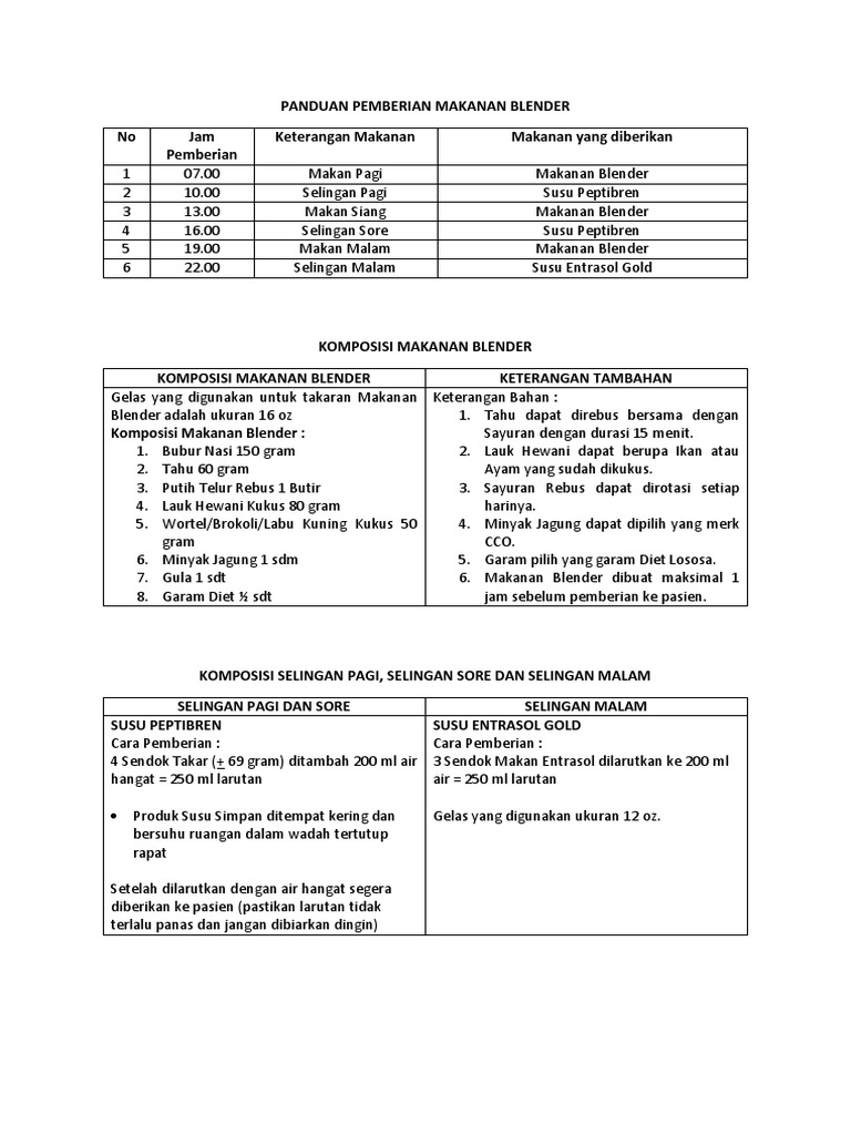 Panduan Makanan Blender untuk Pasien | PDF