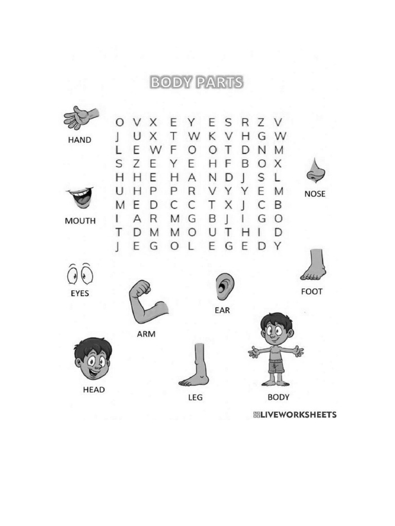 Sopa de Letras Parts of Body | PDF