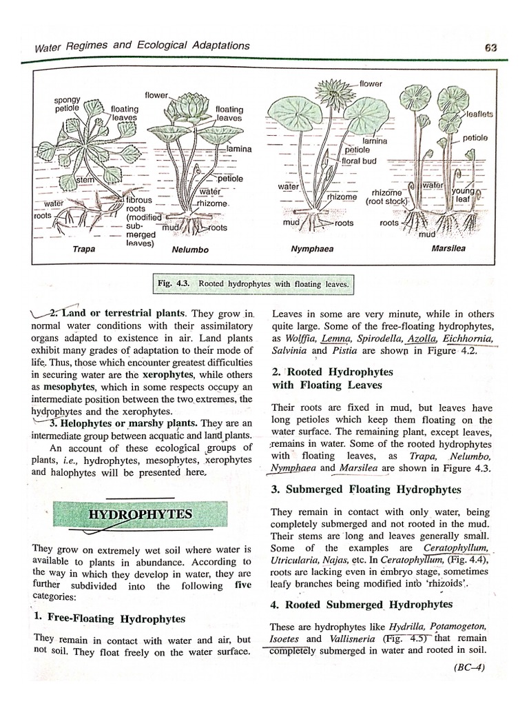 Adaptive and Protective System - Botany GE | PDF