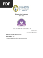 Clase 7-Cascada Ras-MAPK | PDF | Nucleo celular | Quinasa