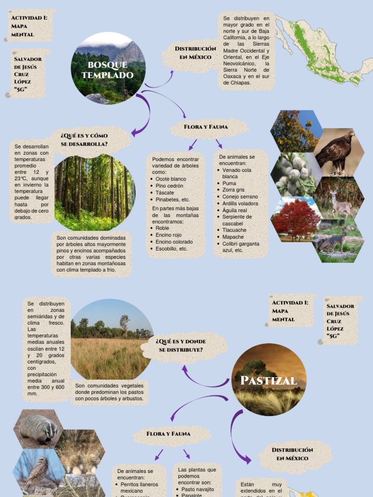 Mapa Mental Ecosistemas | PDF | México | Clima templado