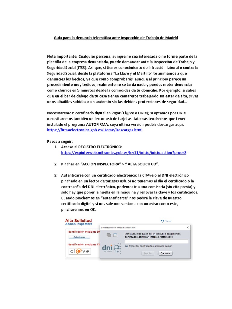 Guia Denuncia Telemática ITSS | PDF