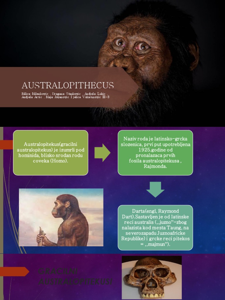Australopithecus | PDF