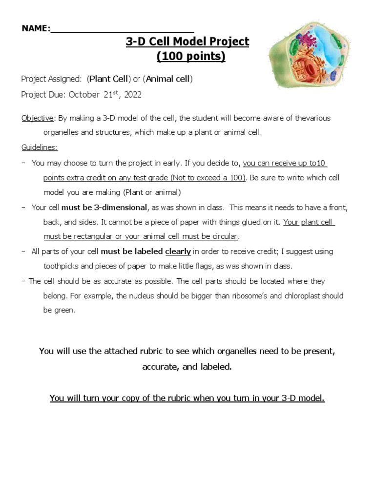 3-D Cell Model Project and Rubric | PDF | Organelle | Cell (Biology)