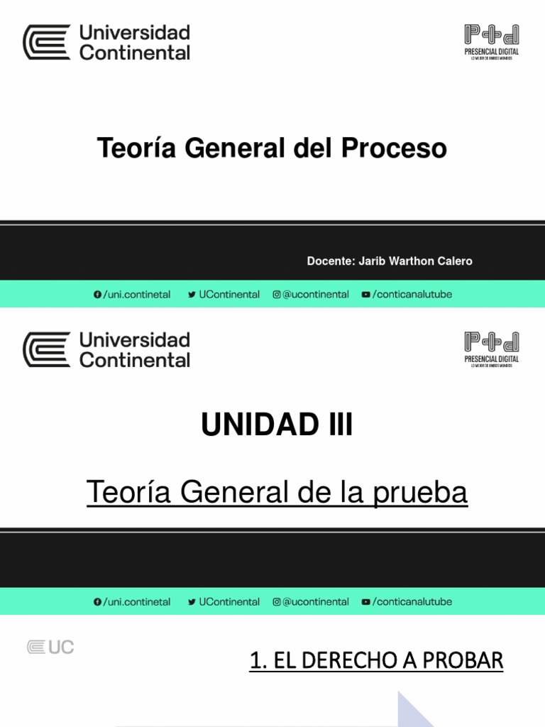Teoría de La Prueba | PDF | Ley procesal | Gobierno