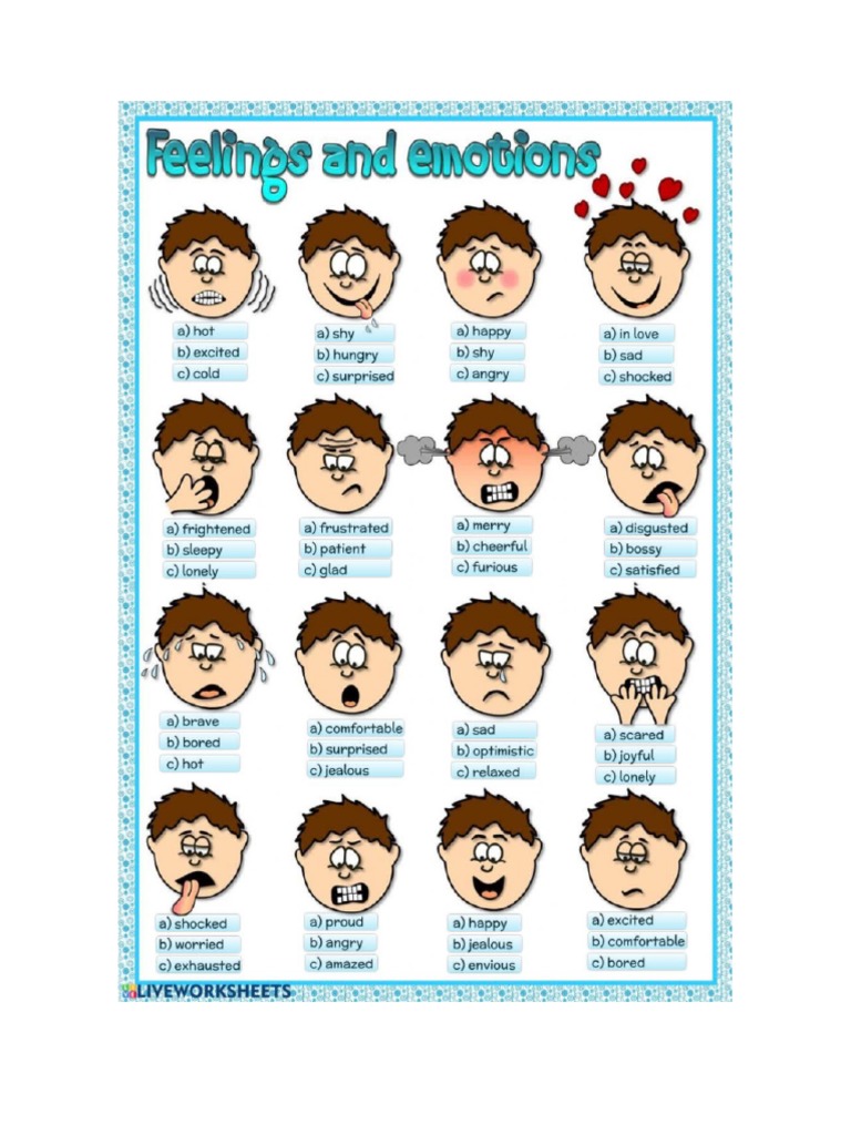 Feelings and Emotions | PDF