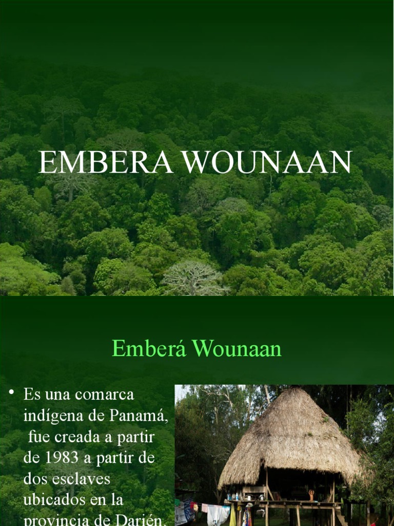 Comarca Embera Wounaan | PDF