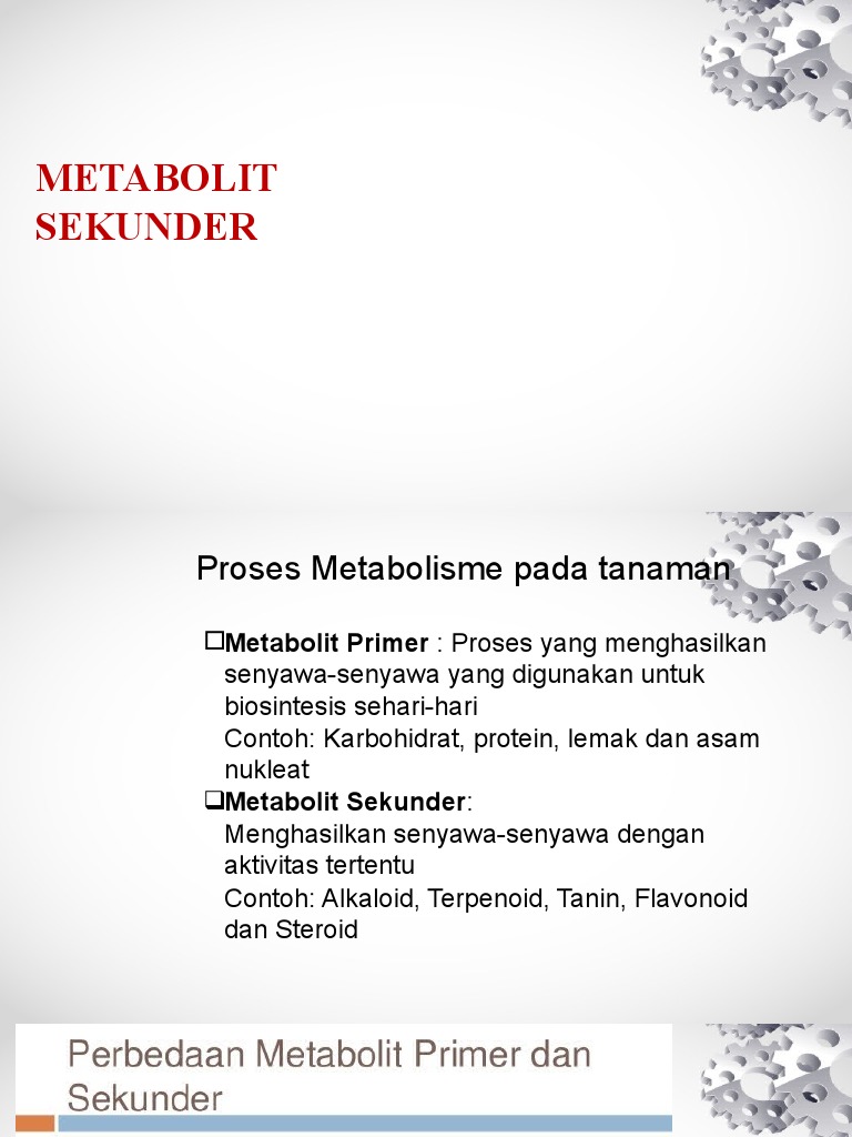 Metabolit Sekunder | PDF