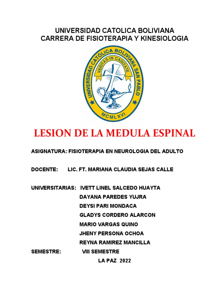 10 Tipos De Lesiones Medulares Pdf Lesión Cerebral Traumática Médula Espinal