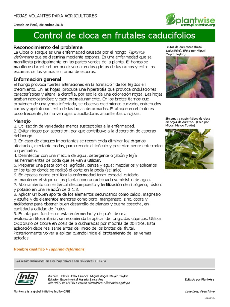 Control de Cloca en Frutales Caducifolios: Reconocimiento Del Problema ...