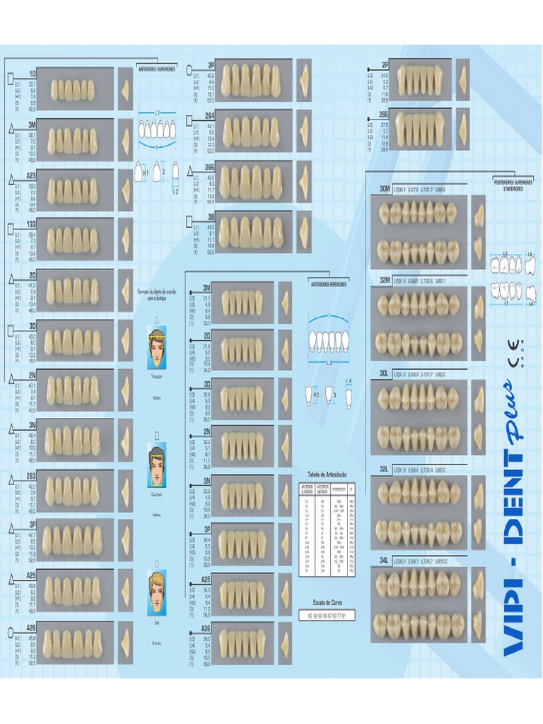Carta Molde Vipi Vipi | PDF