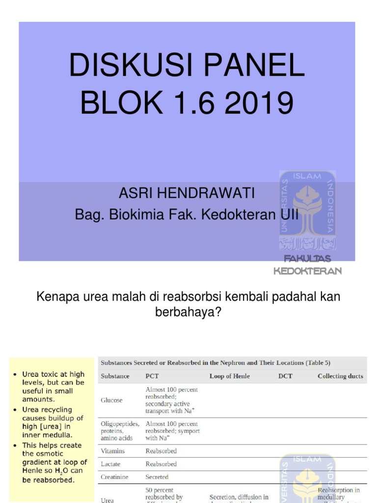 Panel Discussion on Acid-Base Balance and Renal Function | PDF | Kidney ...