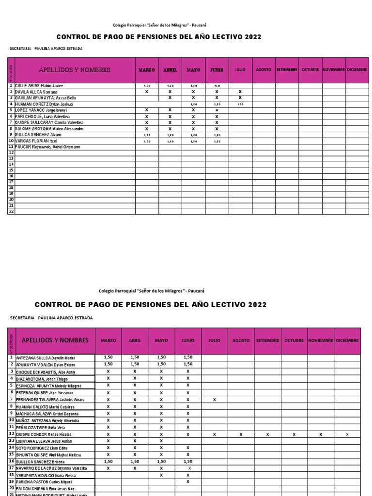 Control de Pagos | PDF