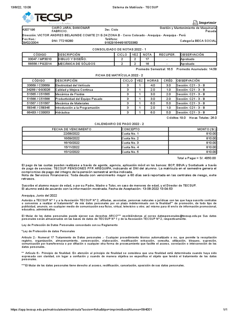 Sistema de Matrícula - TECSUP | PDF | Privacidad de la información