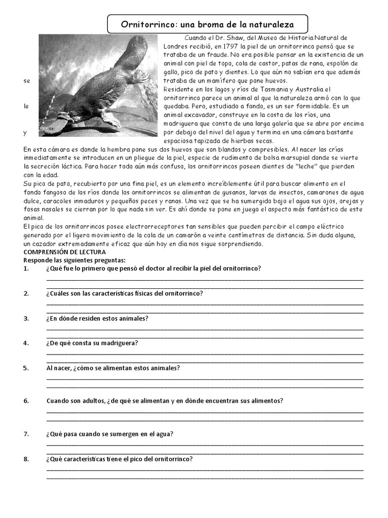 Comprensión Lectora-13 de Mayo. | PDF