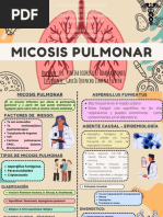 Acino Pulmonar y Enfisema | PDF | Ciencia y matemáticas
