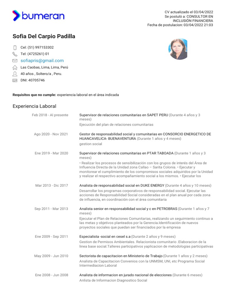 CONSULTOR EN INCLUSIÓN FINANCIERA CV Sofia Del Carpio Padilla | PDF