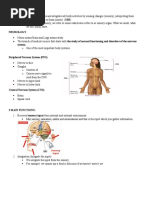 Brain Mnemonics | PDF | Brain | Anatomy
