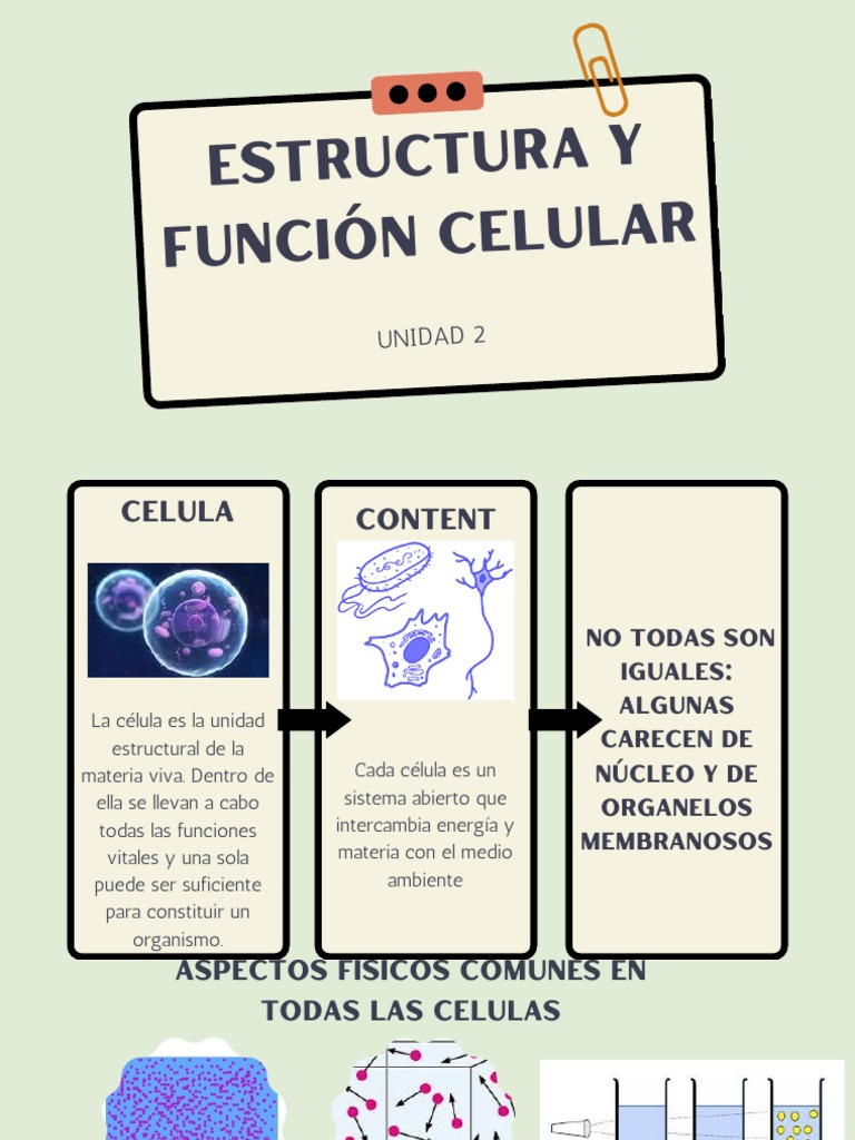 Estructura y Función de la Célula | PDF | Química | Biología Celular)