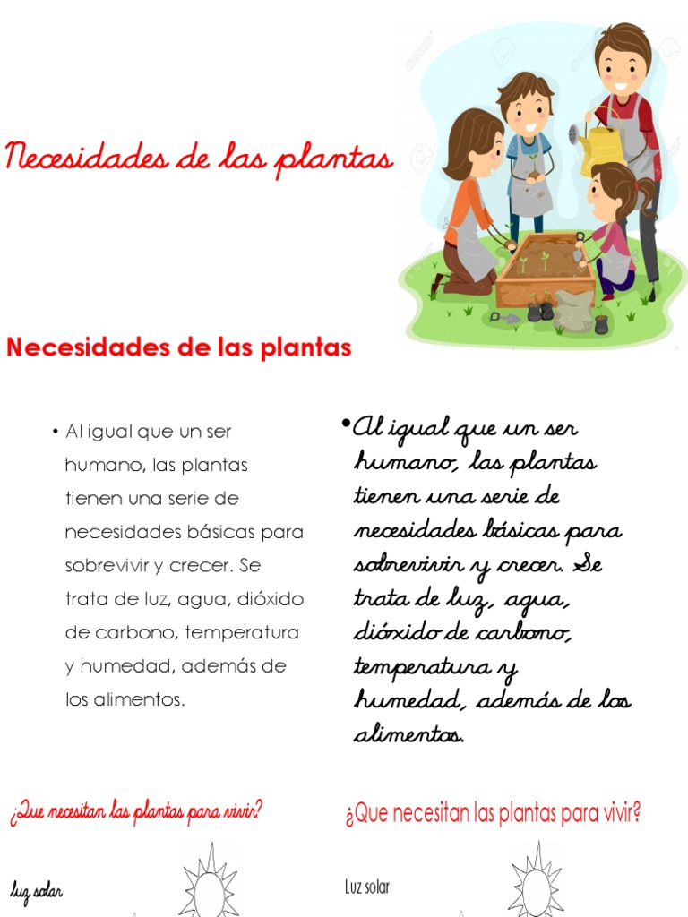Experimento de Las Plantas | PDF