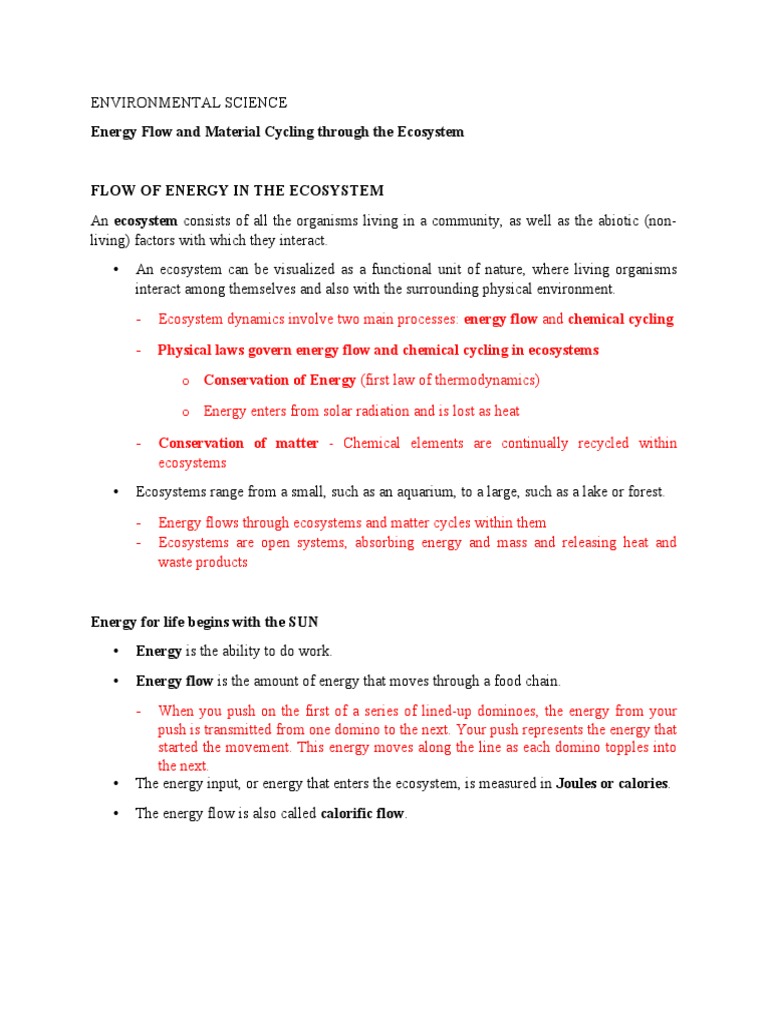 Energy Flow and Material Cycling Through The Ecosystem | PDF ...