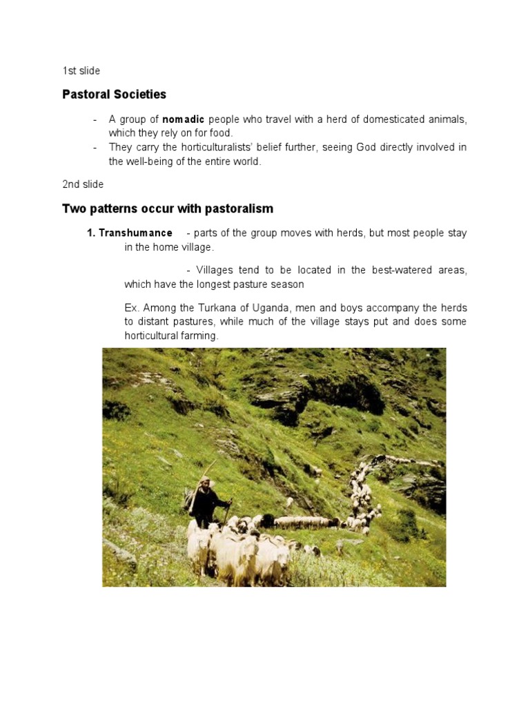 Pastoral Societies | PDF